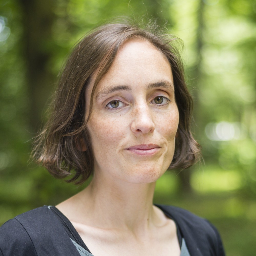 Demokratisches Zentrum Ludwigsburg - GFF – Gesellschaft für ...